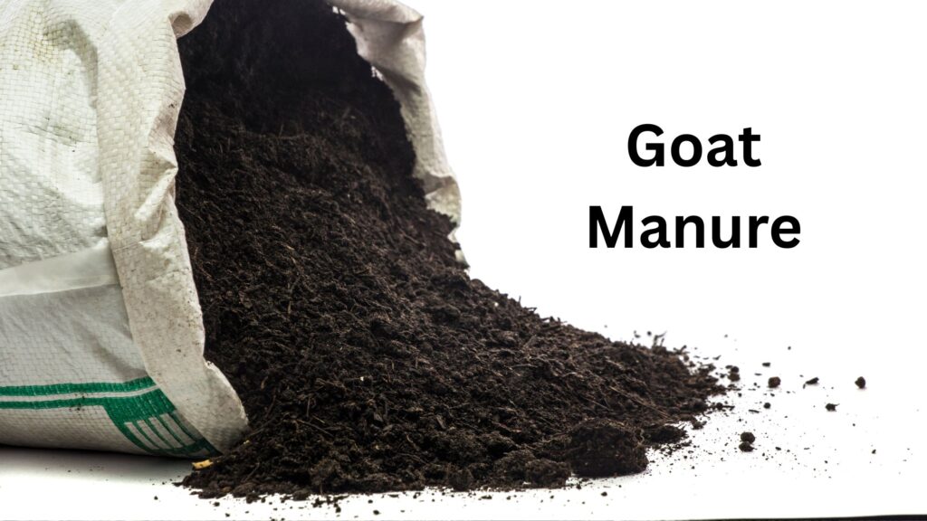 #1 Top Goat Manure Supplier in India – Sigma Minerals